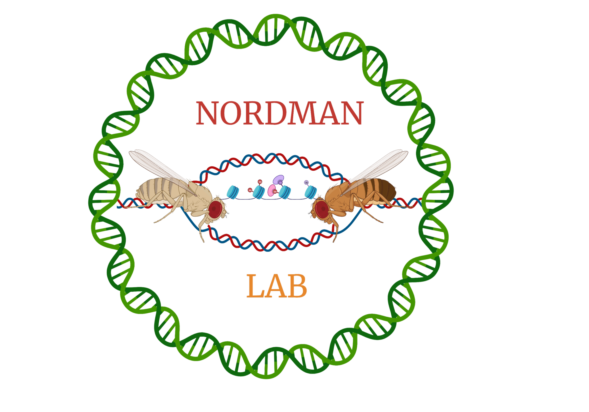 Professor Spotlight: A Conversation with Dr. Jared Nordman - Vanderbilt ...